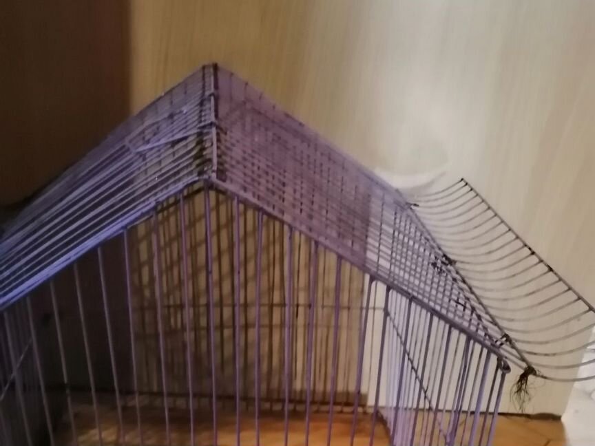 Клетка для грызунов