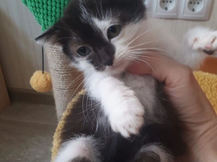 Маленькое чудо