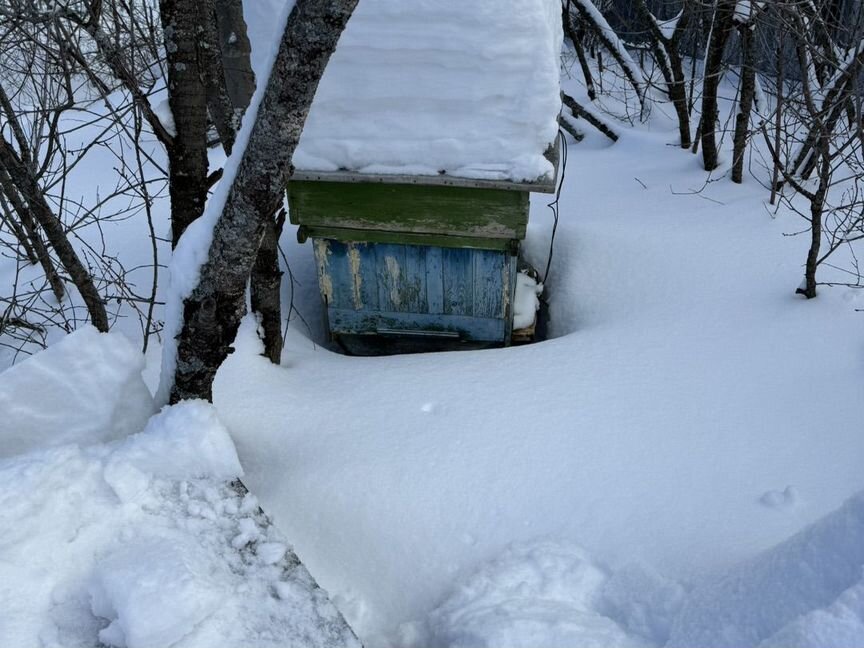 Ульи для пчел бу