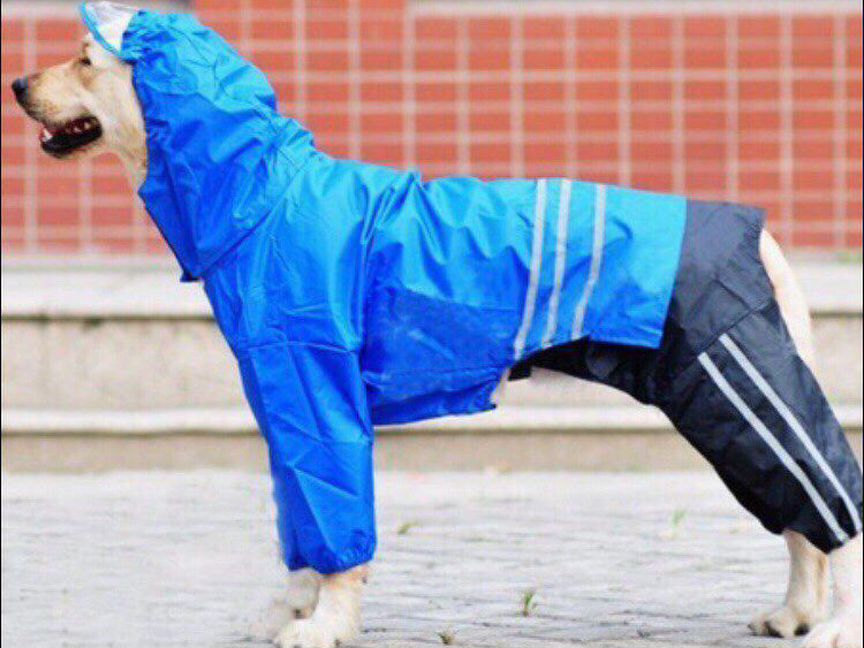 Дождевик для собаки среднего размера