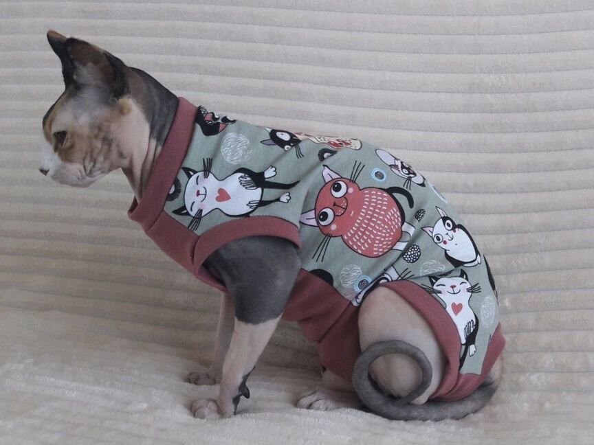 Одежда для кошек