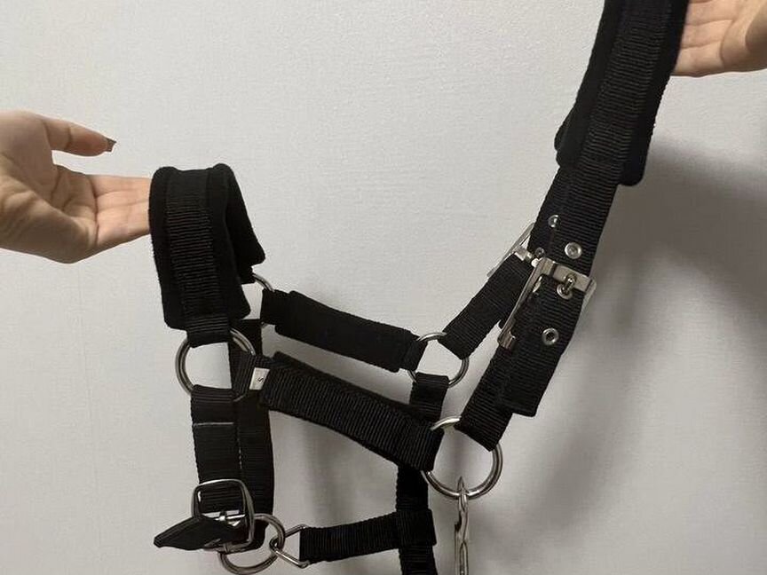 Недоуздок для лошади, Cob