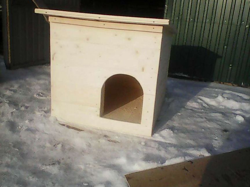 Собачья будка