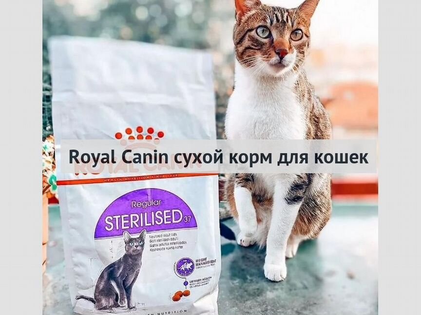 Корм для кошек Royal canin sterilised 4 кг Royal C