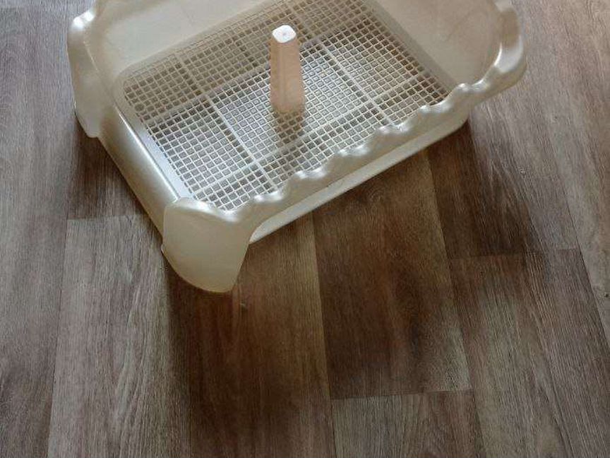 Новый туалет для собаки