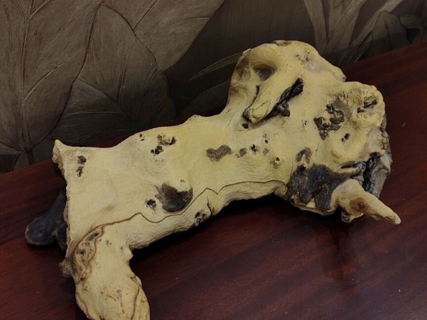 Мангровое дерево коряга в аквариум