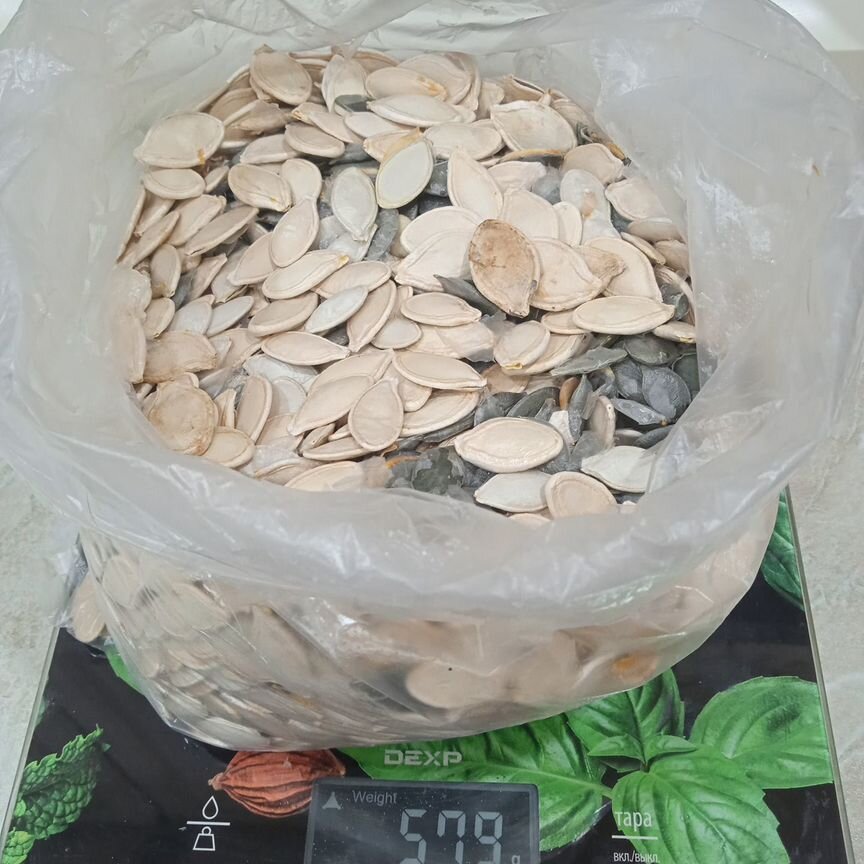 Тыквенные семечки из села