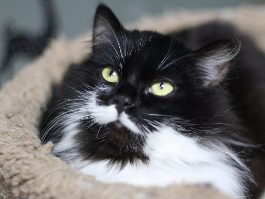 Никто не замечает