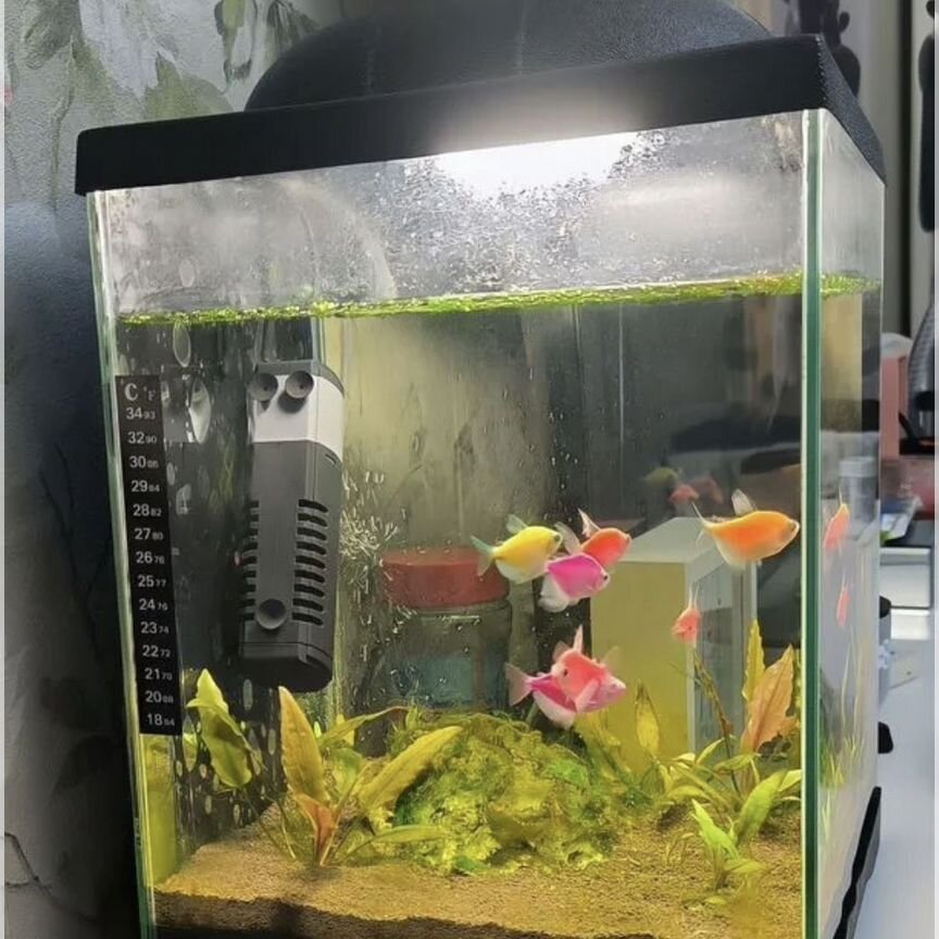 Аквариум с рыбками
