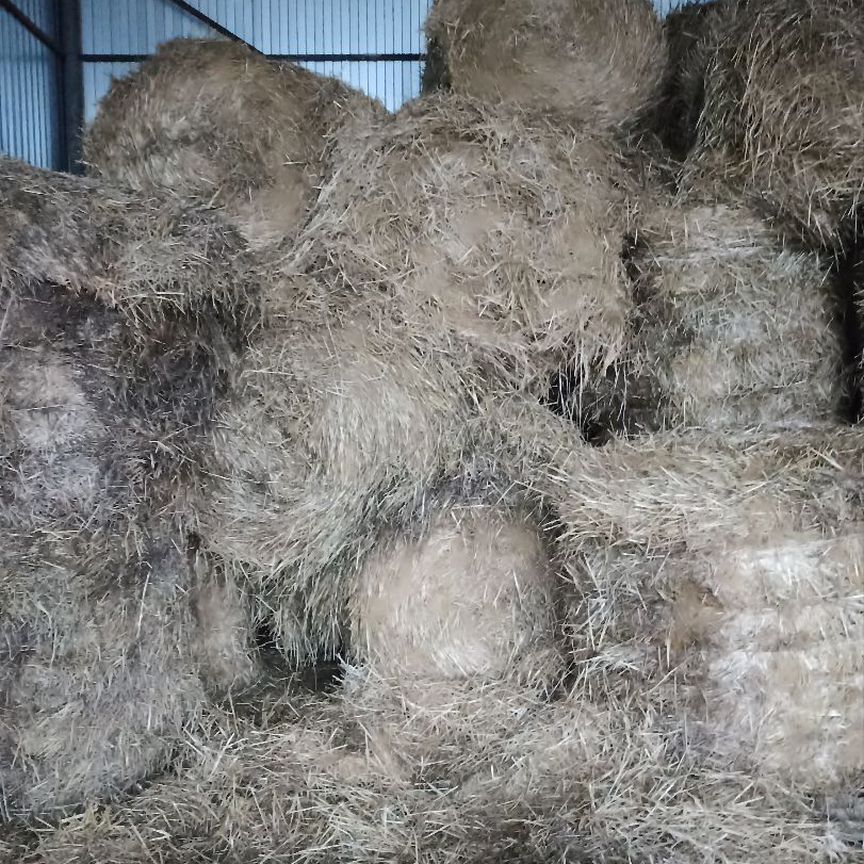 Солома в рулонах