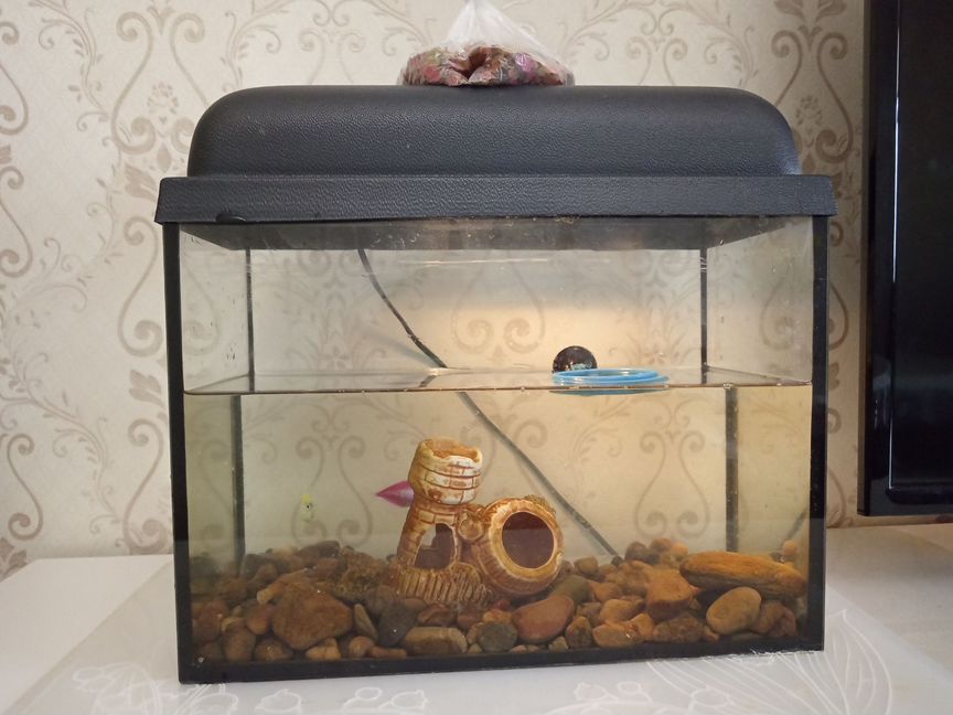 Аквариум с рыбками бу 15литров