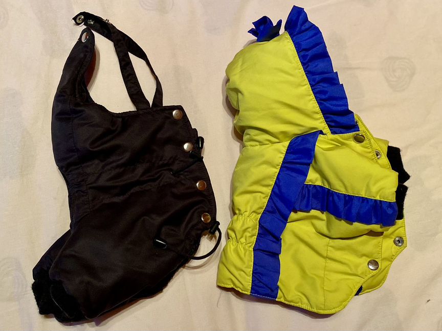 Одежда для маленьких собак зимняя