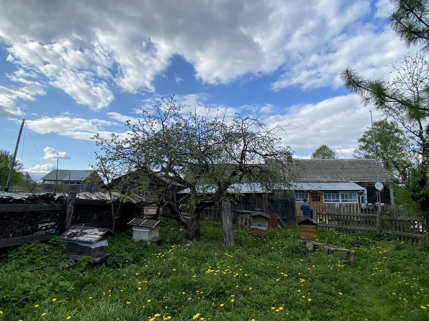 Пчелиные домики