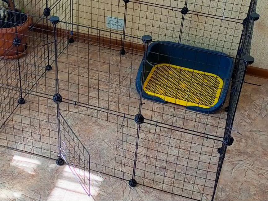 Вальеры для собак