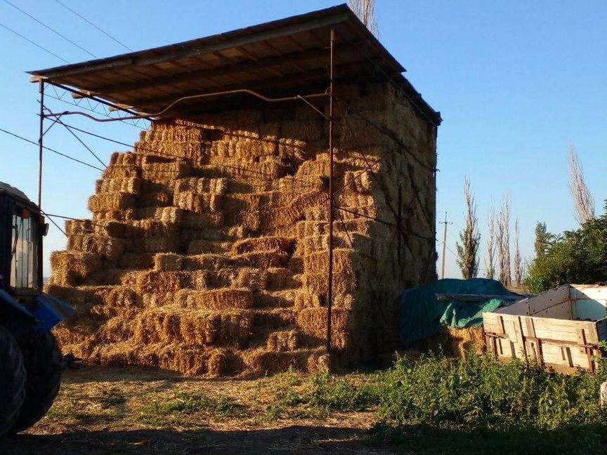 Солома, сено, зерно