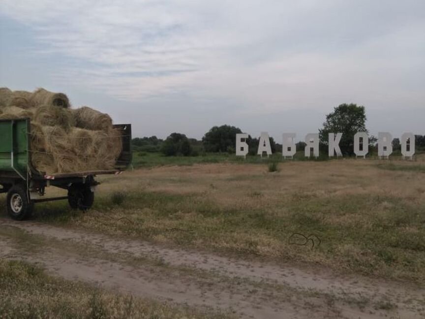 Сено