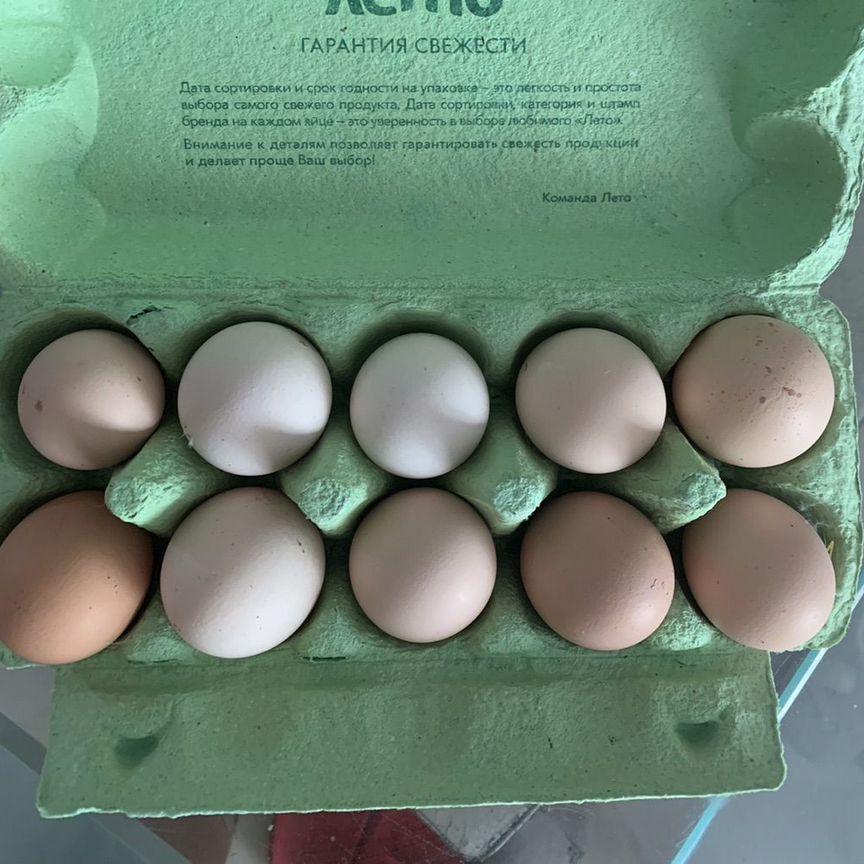 Куриное яйцо на инкубацию