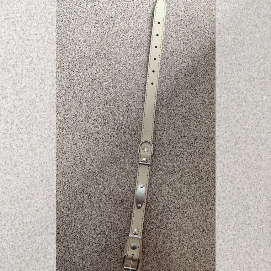 Ошейник для собак