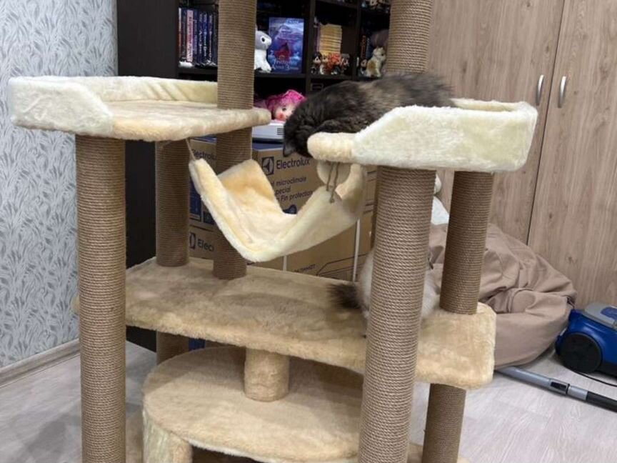 Домик для кошки с когтеточкой