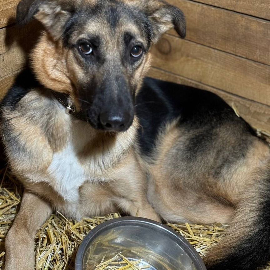 Джун ждет маму и папу