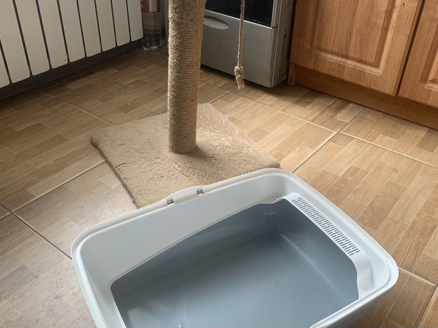 Лоток для кошек, и когтеточка
