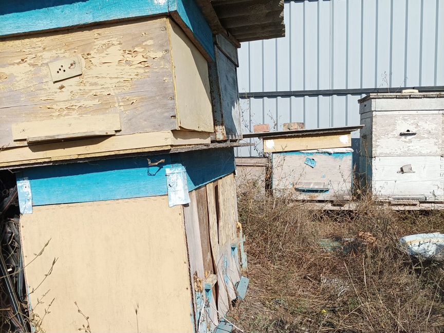 Улики для пчел