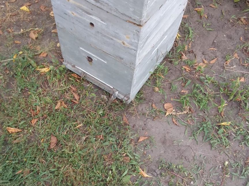 Улей для пчел бу