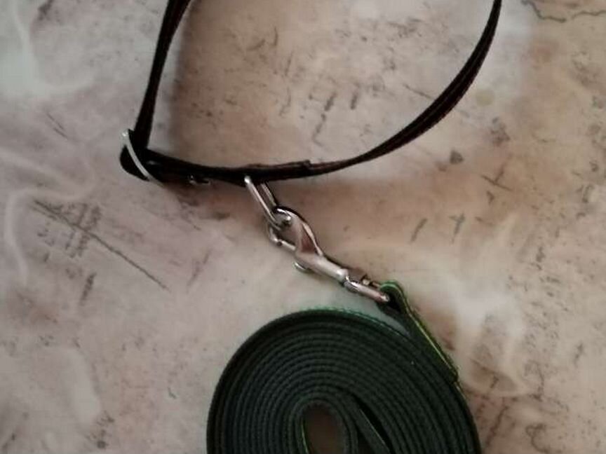 Поводок для собак