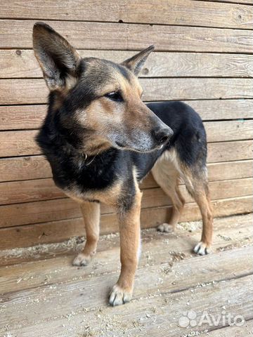 Старики никому не нужны