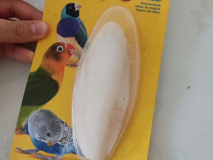 Кормушки, поилка, вкусняшки для попугая