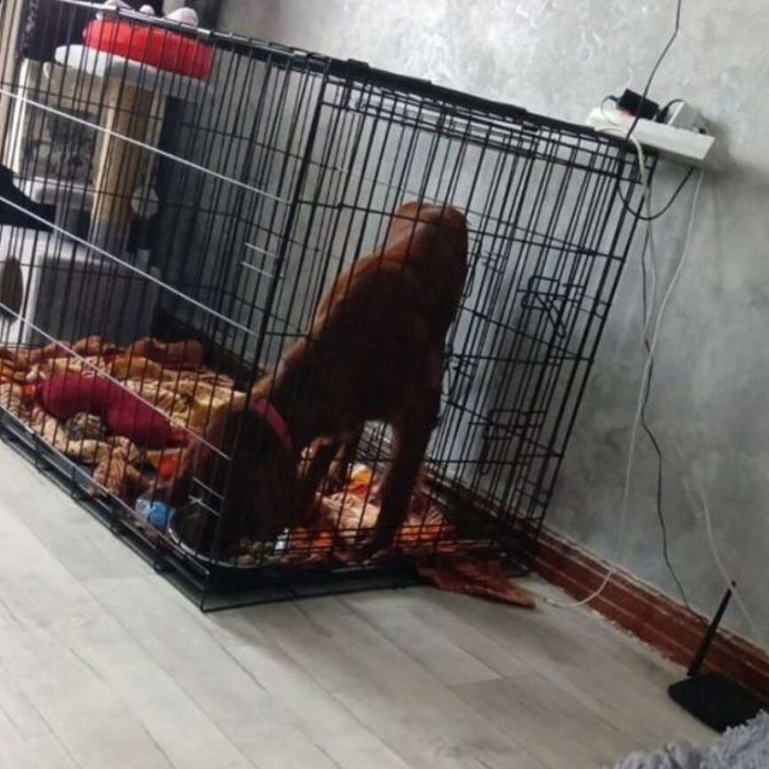 Продам клетку для собак
