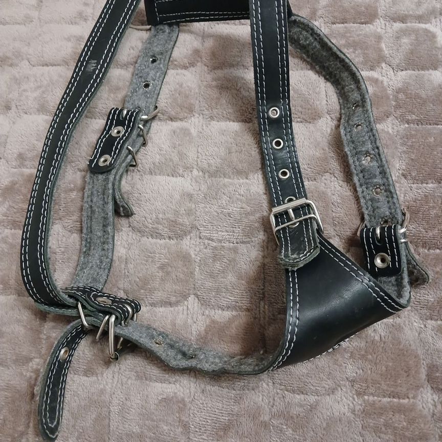 Шлейка для средней собаки