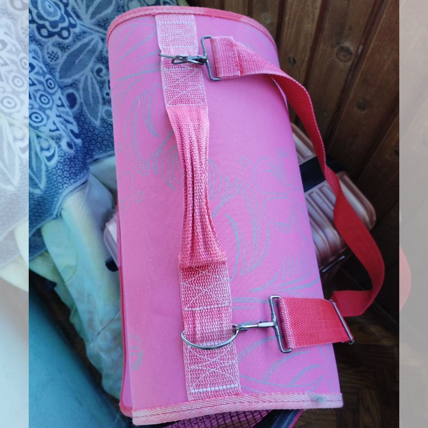 Канадский сфинкс, взрослая кошка