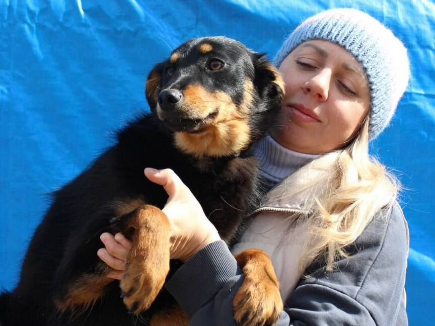 Бона- милашка из приюта ищет дом