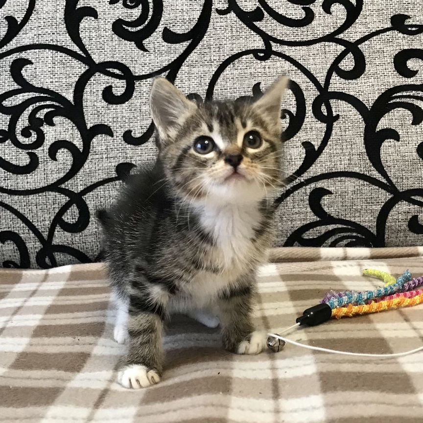 Девчушка в мраморной шубке