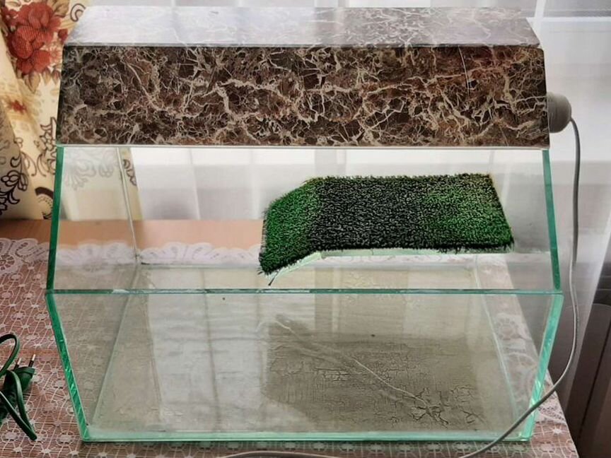 Аквариум черепашник