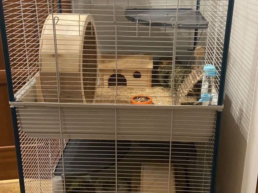 Клетка для грызунов ferplast большая