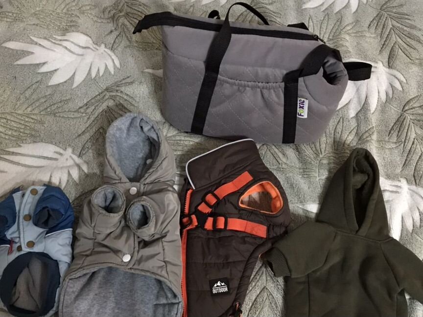 Вещи для маленьких собак