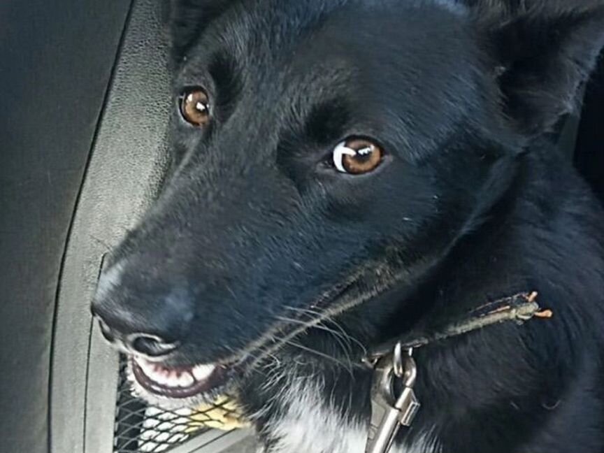 Мальчик Джоник-Джо