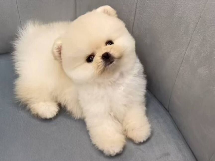 Миниатюрная девочка