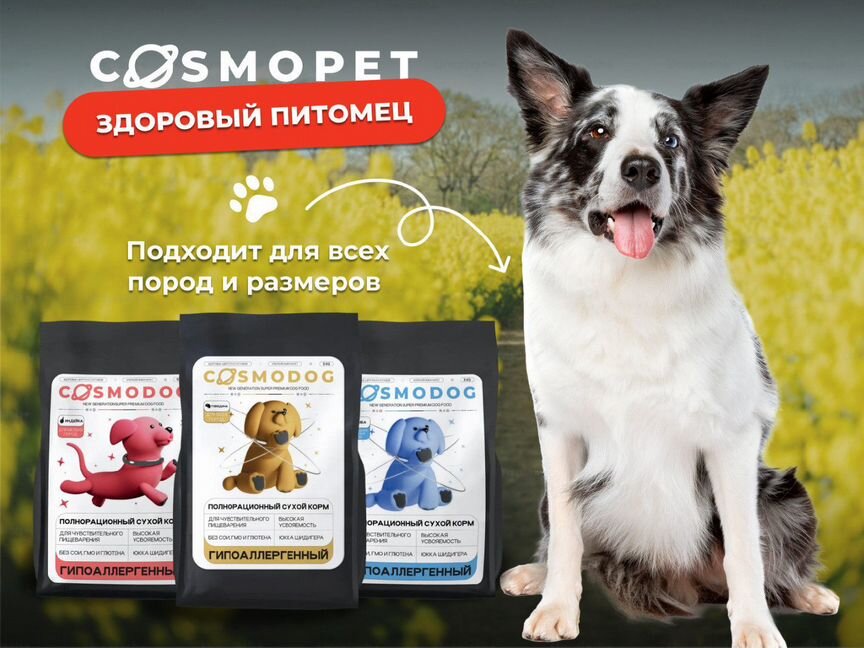 Сухой корм для собак, холистик Полнорационный