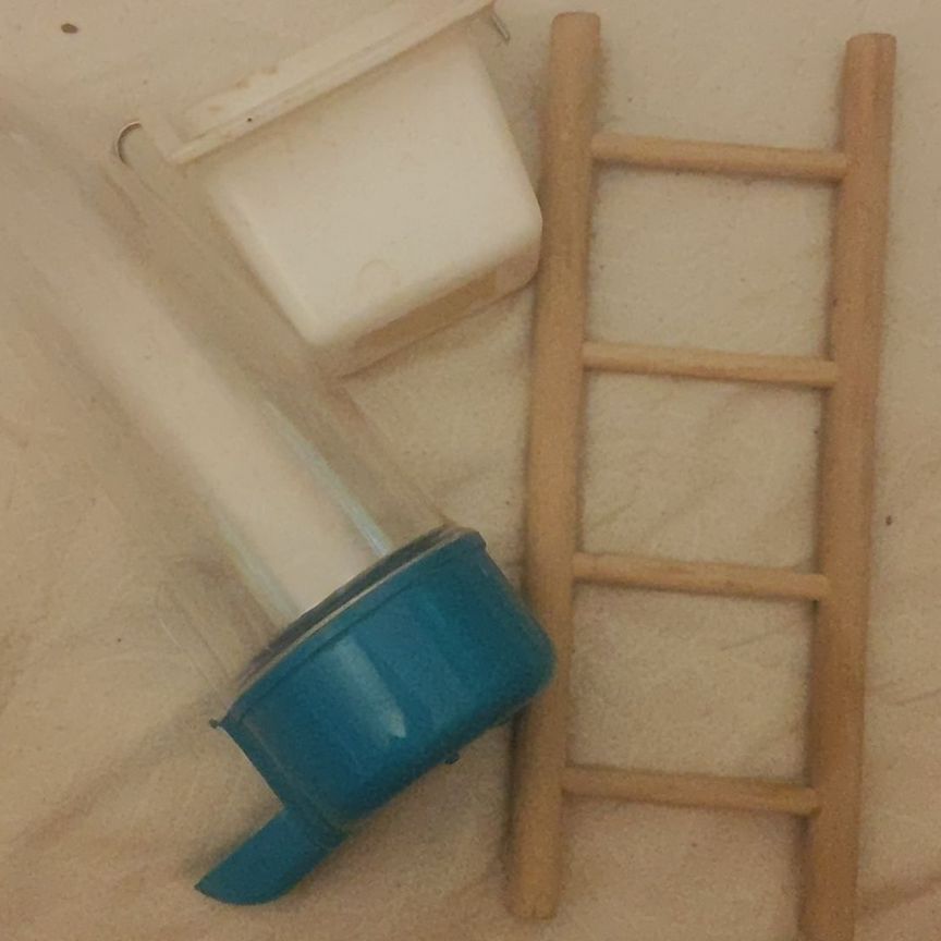 Аксессуары по уходу за волнистыми попугаями