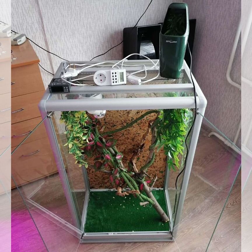 Террариум для хамелеона