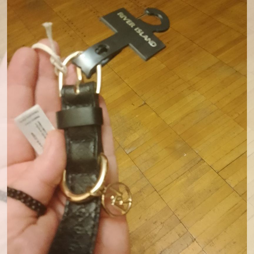 Ошейник для собак