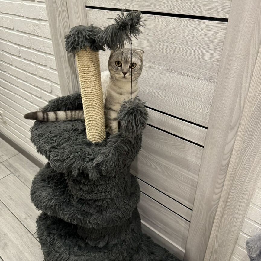 Домик когтеточка для кошки