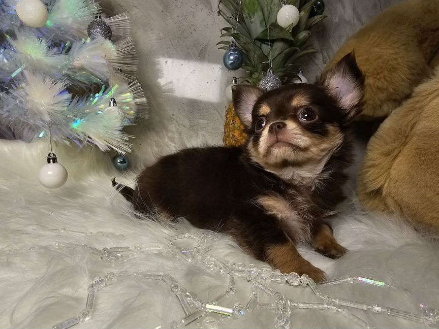 Мини плюшевый мальчишка