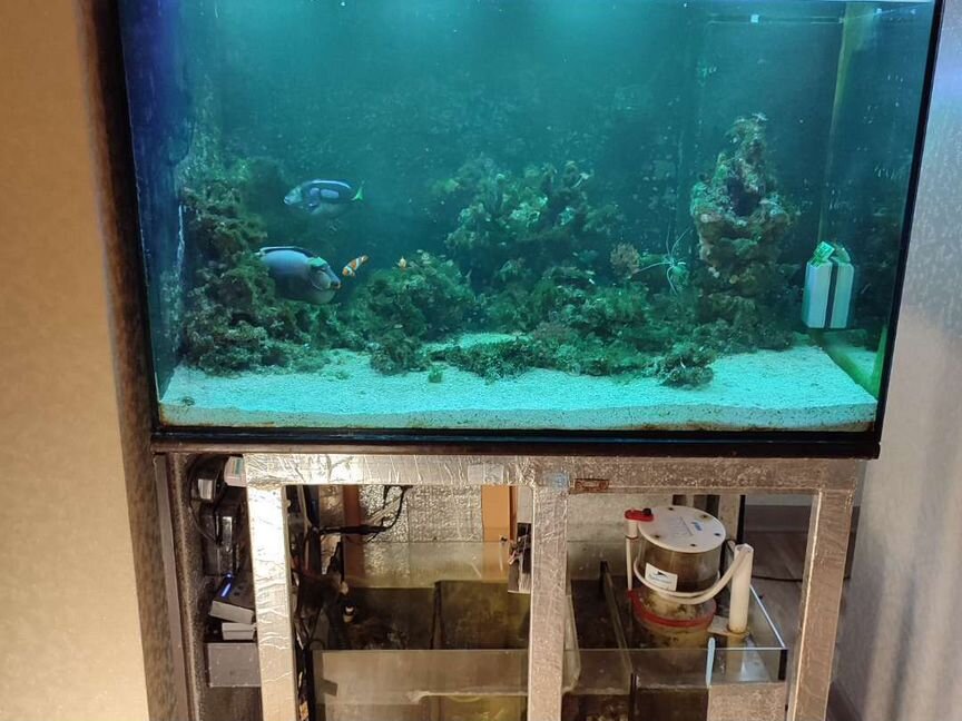 Морской аквариум бу