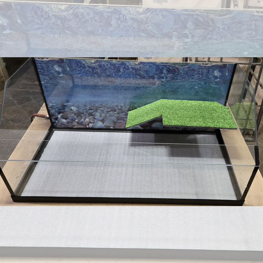 Аквариумы - террариумы для черепахи, рыб, лягшек