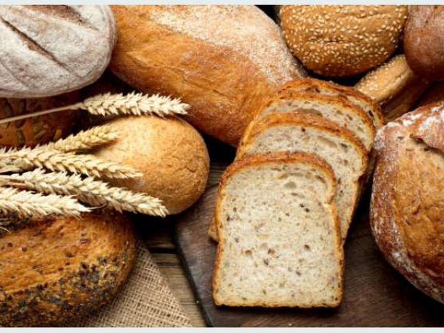 Корм для животных