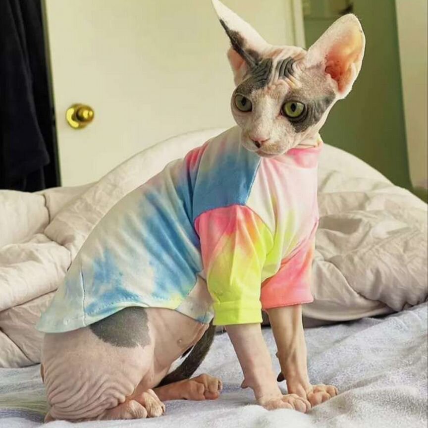 Футболка для сфинкса